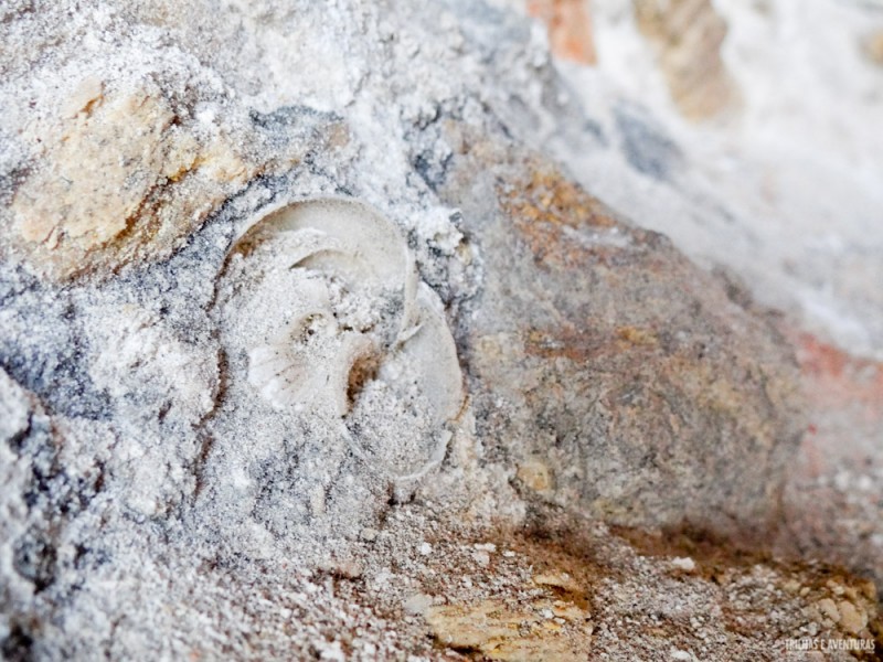 Pinnacle-Point-Caves-Human-Origins-18 - Viagens Possíveis