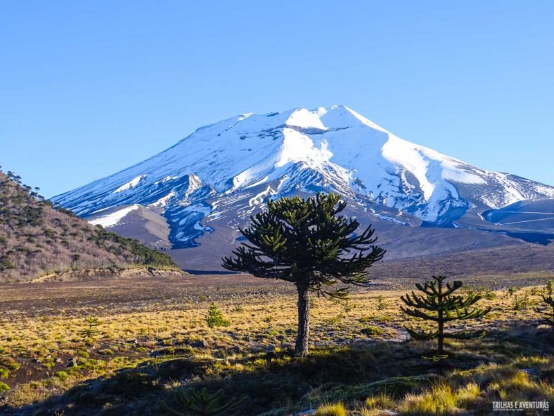 O que fazer em Corralco... sem neve! - Viagens Possíveis
